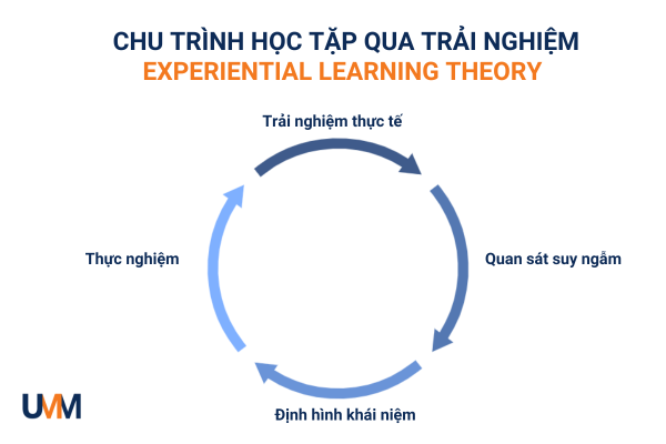 Experiential Learning Theory là gì - Lý thuyết học tập qua trải nghiệm